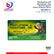 NEOZEP Z+ Non-Drowsy Phenylephrine HCI Paracetamol + Zinc 10mg / 325mg ...