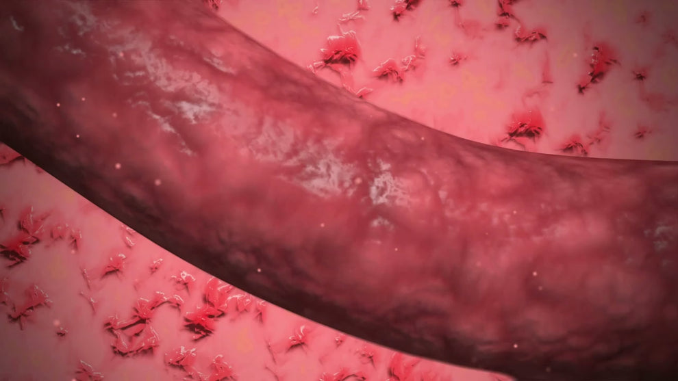 Sildenafil Citrate (Sildesaph 50) 50mg Film Coated Tablet 4's – Bambang ...